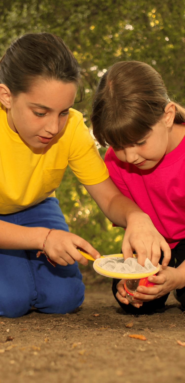 Free Printable Bug and Insect Scavenger Hunt for Kids - Marley Doodle ...