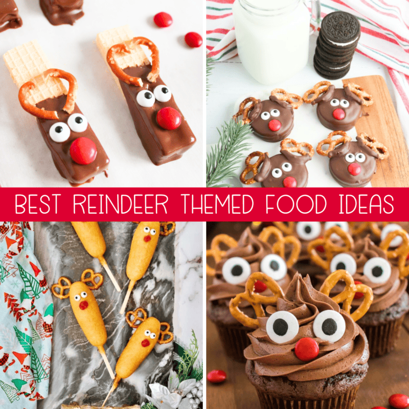 21+ Fun & Festive Reindeer Themed Food Ideas You Have to See! - Marley ...