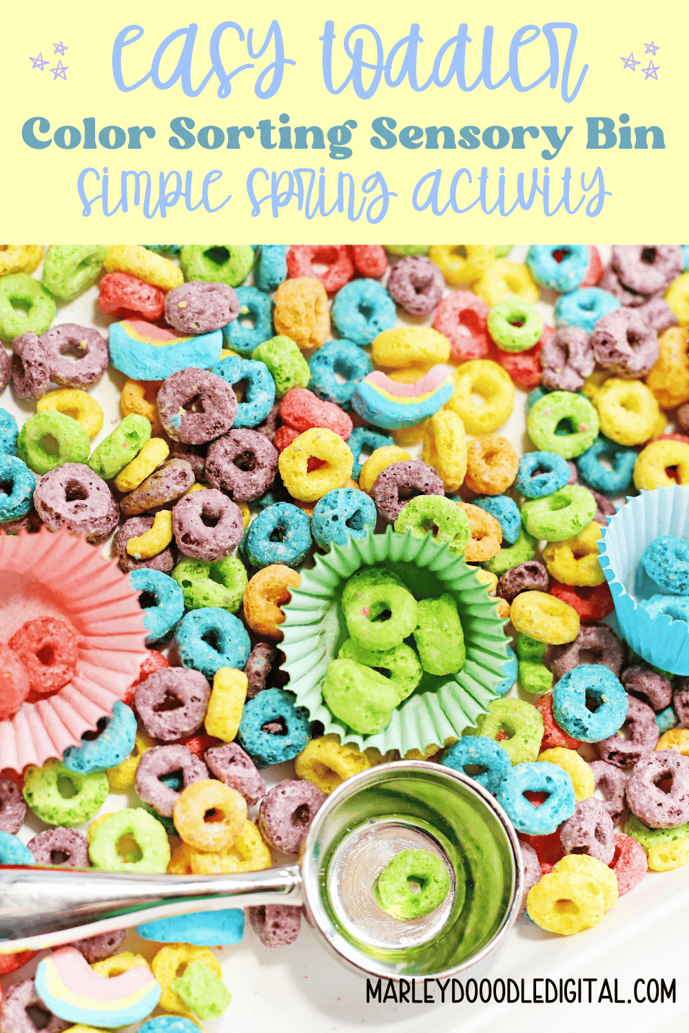 Rainbow Color Sorting Sensory Bin for Toddlers - Marley Doodle Digital