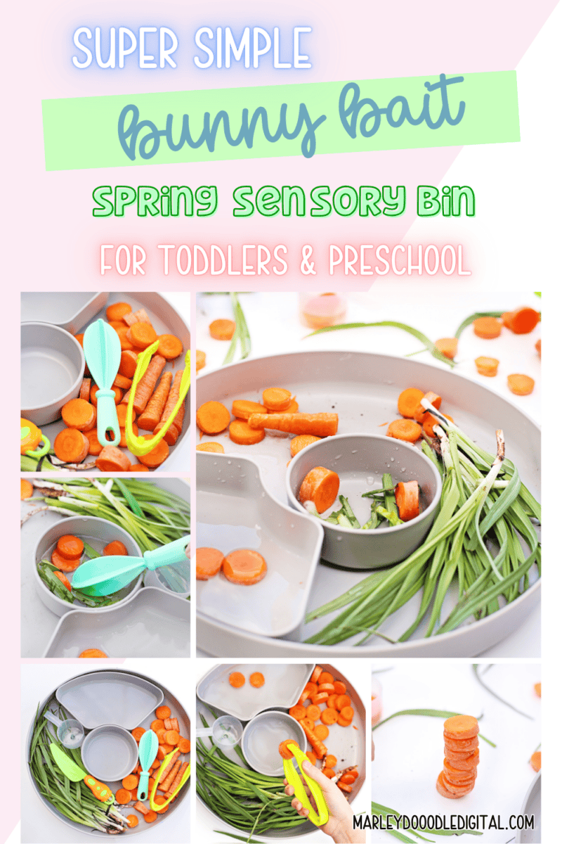 Natural Bunny Bait Sensory Bin (Easy Spring Idea!) - Marley Doodle Digital