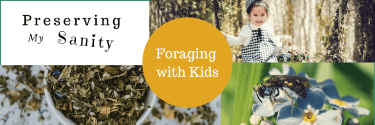 21 Easy DIY Earth Day Crafts and Activities - Marley Doodle Digital