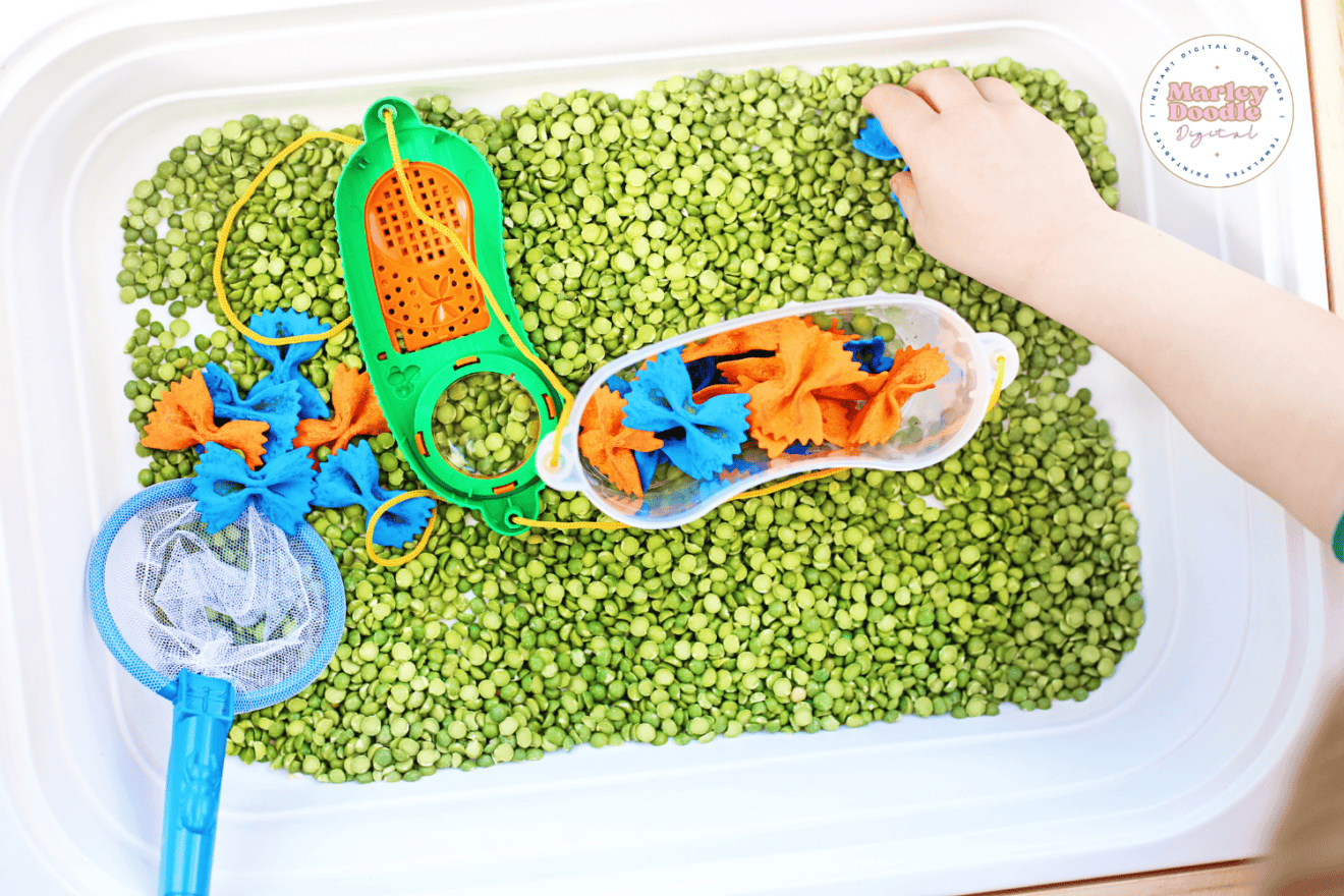 Catching Butterflies Sensory Bin (Easy Spring Idea!) - Marley Doodle ...