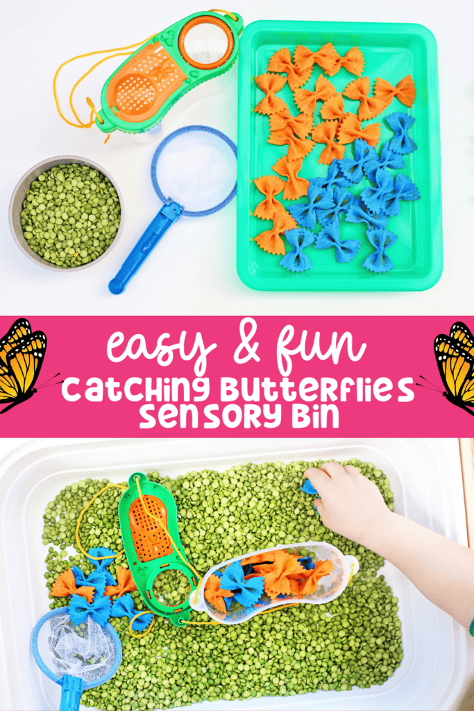 Catching Butterflies Sensory Bin (Easy Spring Idea!) - Marley Doodle ...