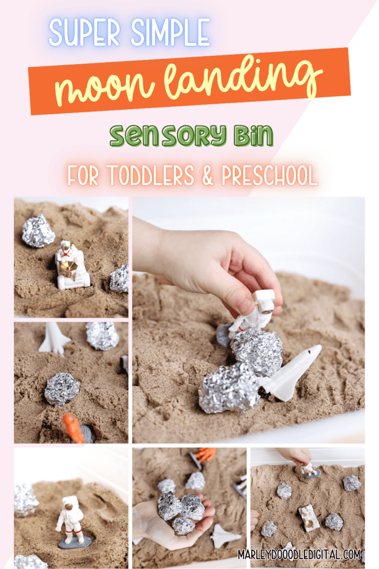 Moon Landing Sensory Bin (Easy Outer Space Activity) - Marley Doodle ...
