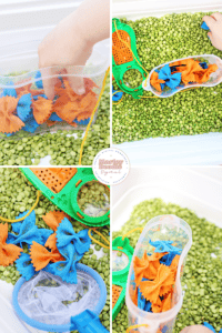 23+ Fun Nature-Inspired Sensory Activities for Kids - Marley Doodle Digital