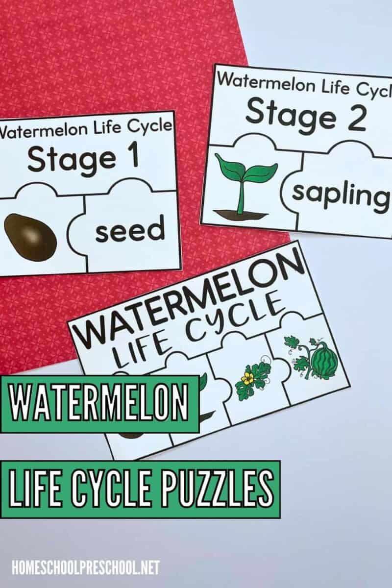 19+ Fun and Easy Watermelon Crafts for Kids - Marley Doodle Digital