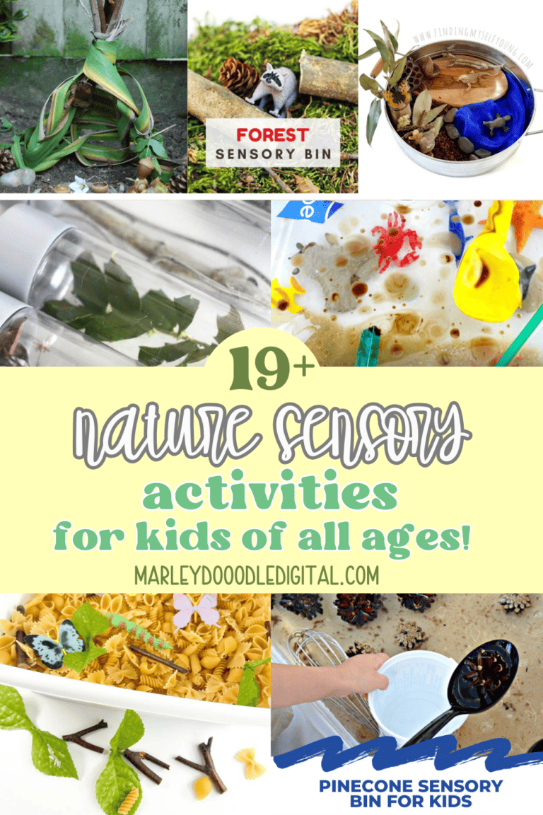 23+ Fun Nature-Inspired Sensory Activities for Kids - Marley Doodle Digital