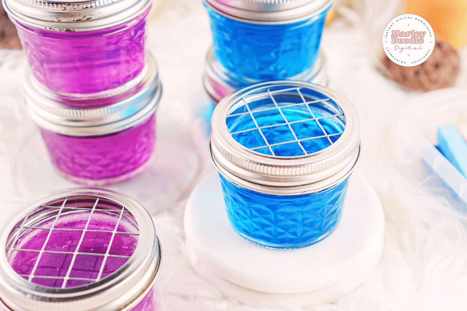 The Easiest DIY Air Fresheners - Marley Doodle Digital