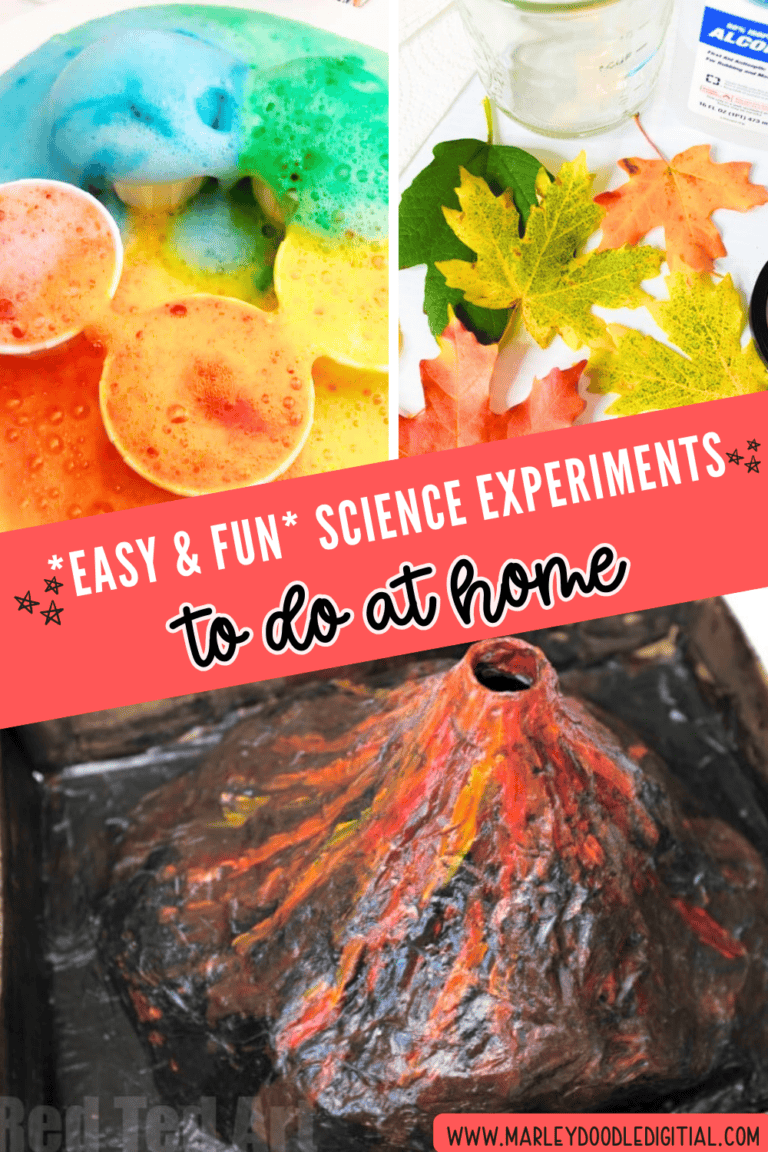 19+ Easy Science Experiments for Kids - Marley Doodle Digital