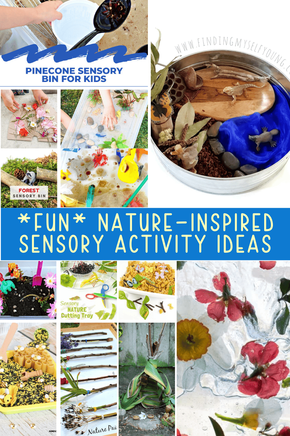 23+ Fun Nature-Inspired Sensory Activities for Kids - Marley Doodle Digital