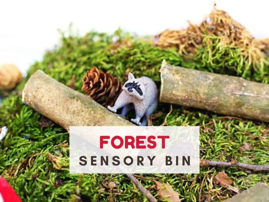 23+ Fun Nature-Inspired Sensory Activities for Kids - Marley Doodle Digital