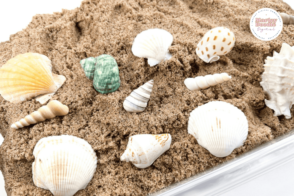 Easy DIY Beach Sensory Bin for Kids - Marley Doodle Digital