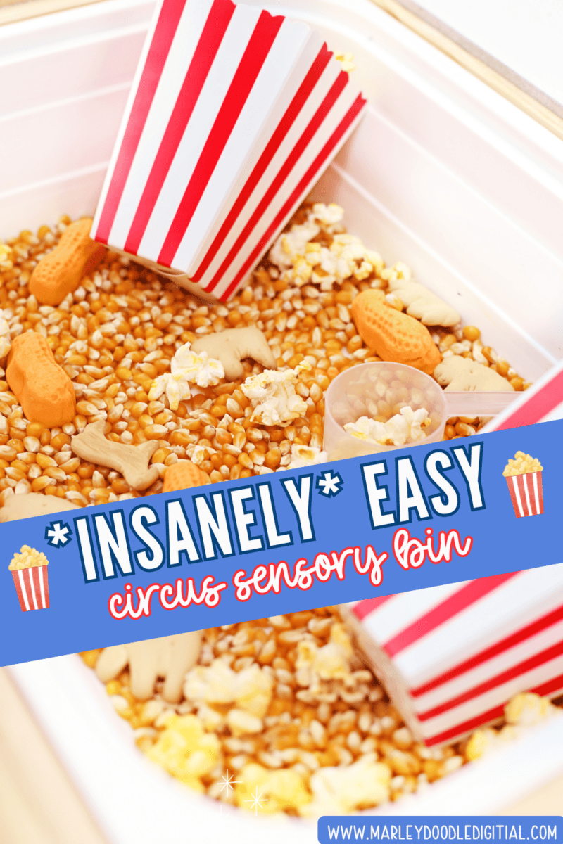 Easy Circus Sensory Bin for Kids - Marley Doodle Digital