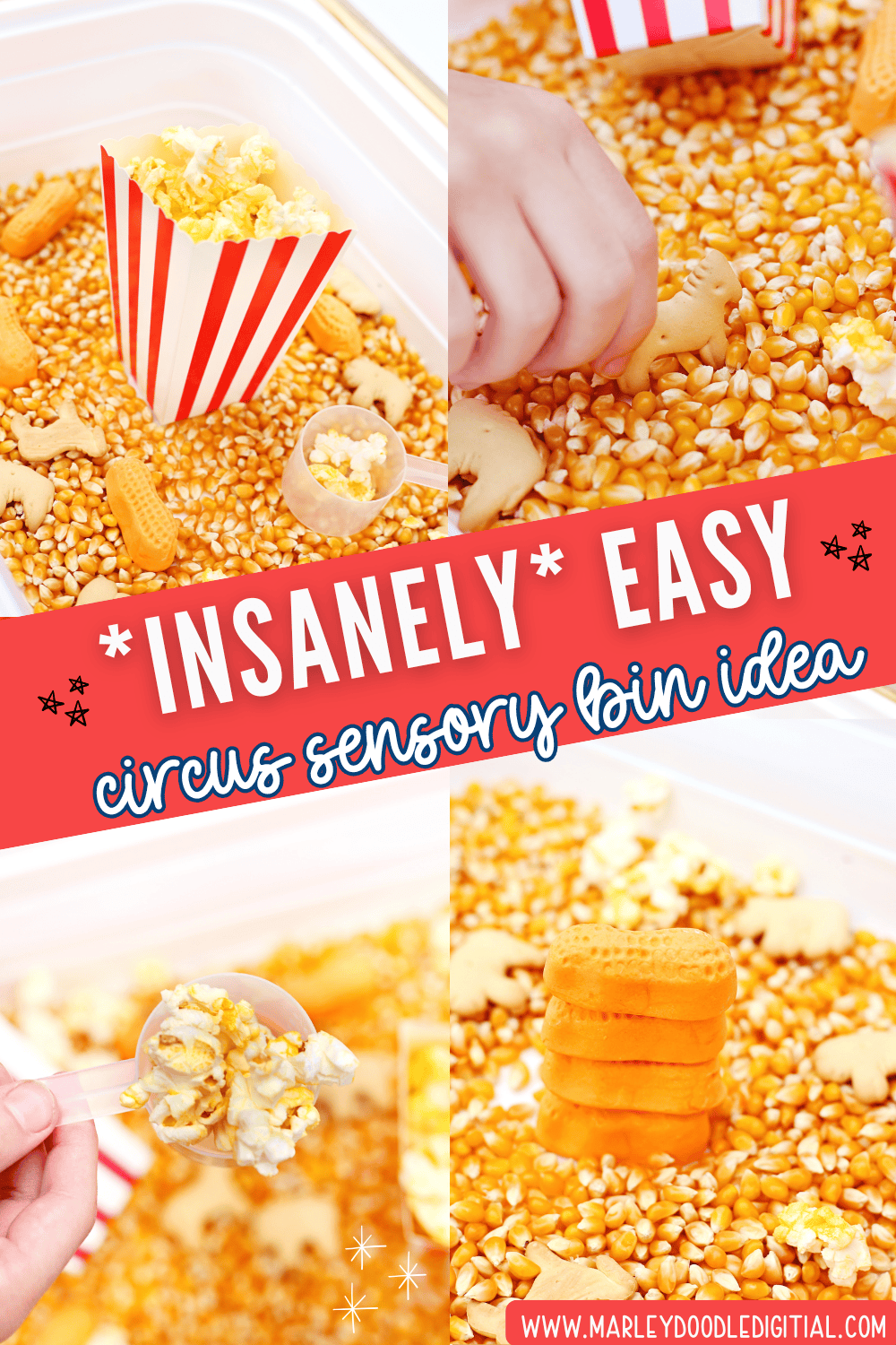 Easy Circus Sensory Bin for Kids - Marley Doodle Digital