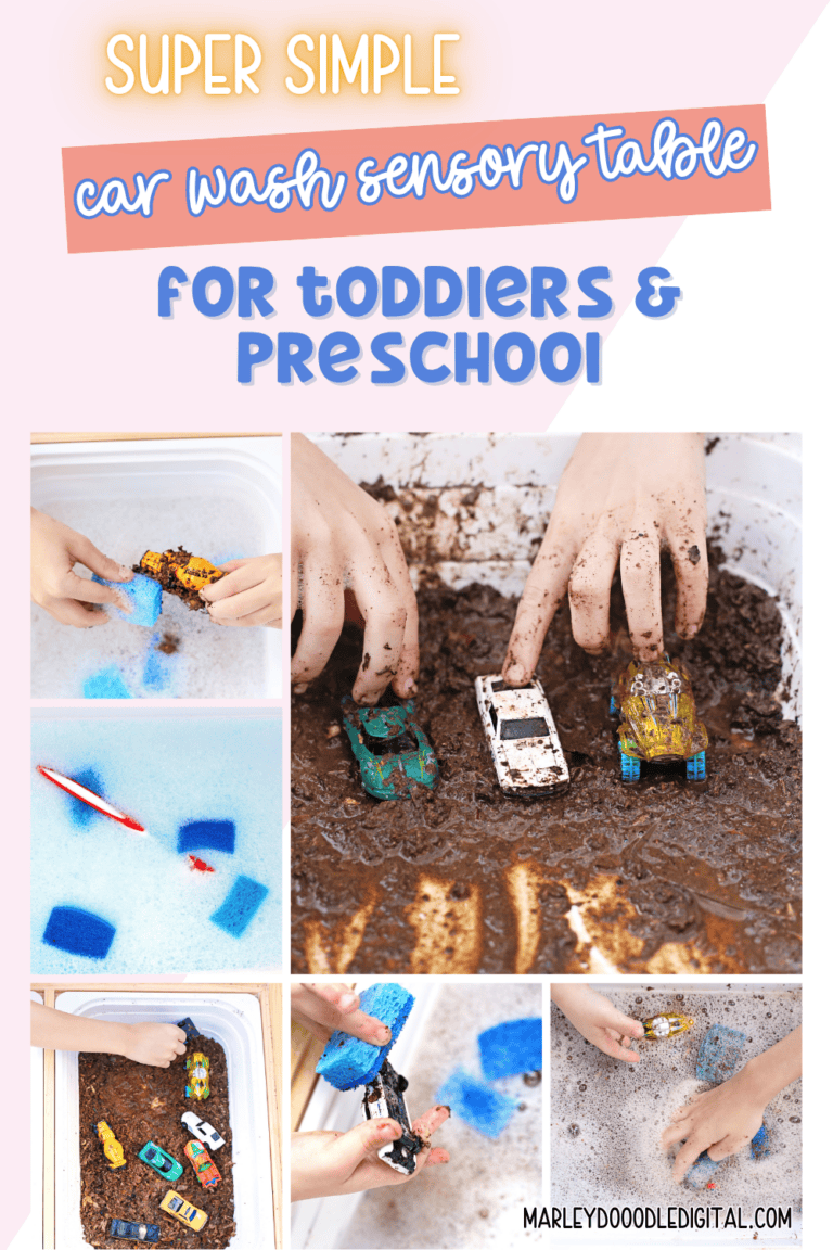 Easy DIY Car Wash Sensory Table for Preschool - Marley Doodle Digital