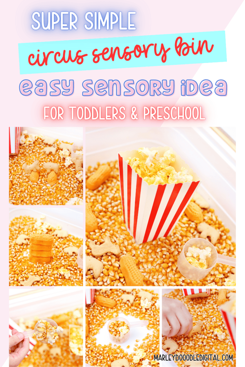 Easy Circus Sensory Bin for Kids - Marley Doodle Digital