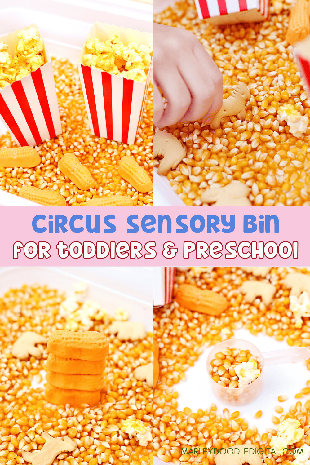 Easy Circus Sensory Bin for Kids - Marley Doodle Digital