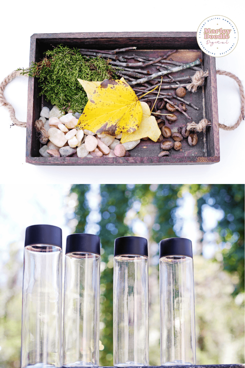 Simple DIY Nature Sound Sensory Bottles for Kids - Marley Doodle Digital