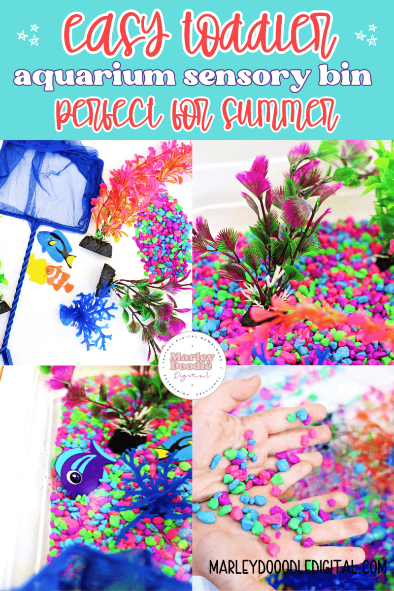 Super Fun DIY Aquarium Sensory Bin Idea - Marley Doodle Digital