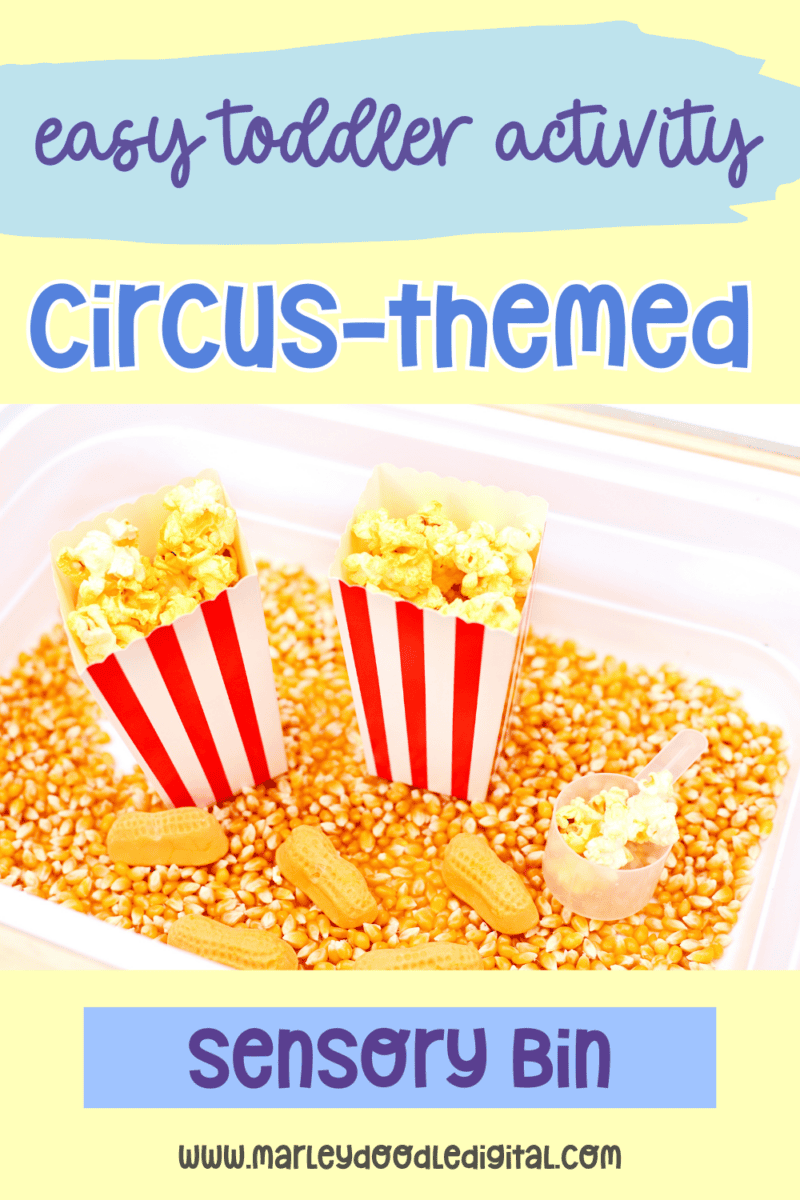 Easy Circus Sensory Bin for Kids - Marley Doodle Digital