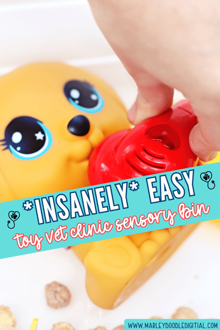 Easy DIY Toy Vet Clinic Sensory Bin for Kids - Marley Doodle Digital