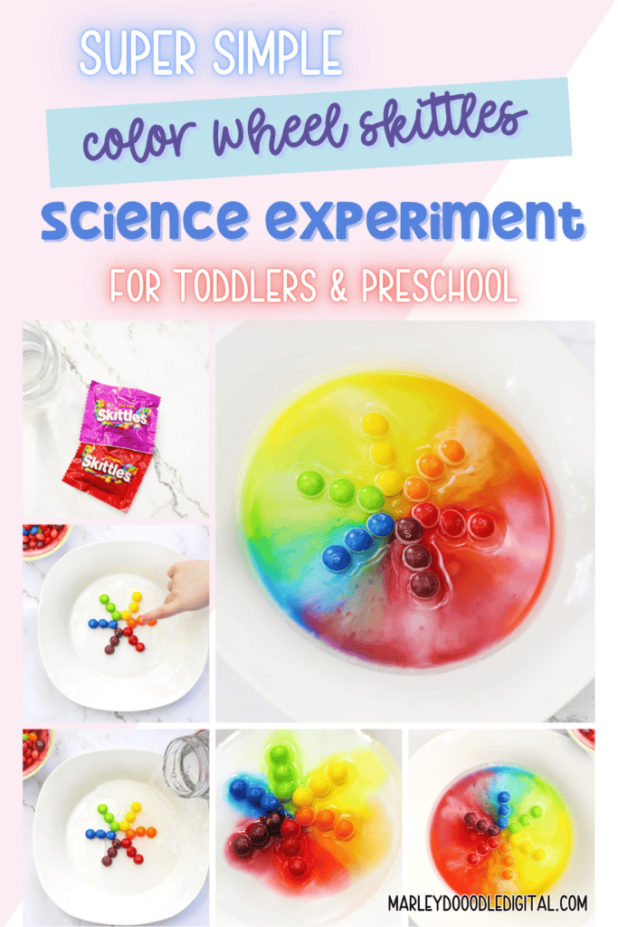 Rainbow Color Wheel Skittles Experiment for Kids - Marley Doodle Digital