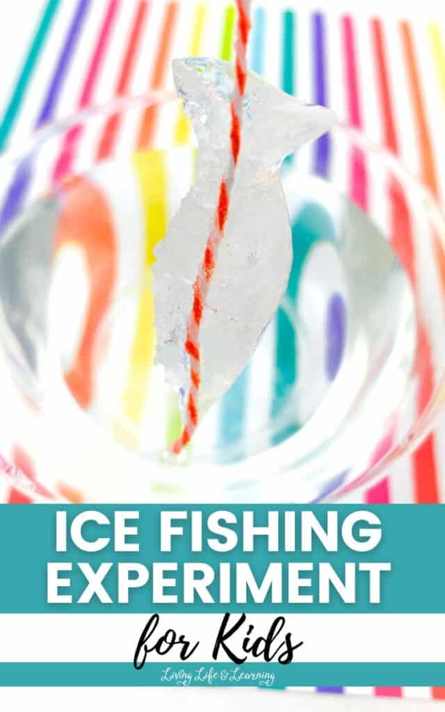 20+ Exciting Ice Activities for Kids & Preschool - Marley Doodle Digital