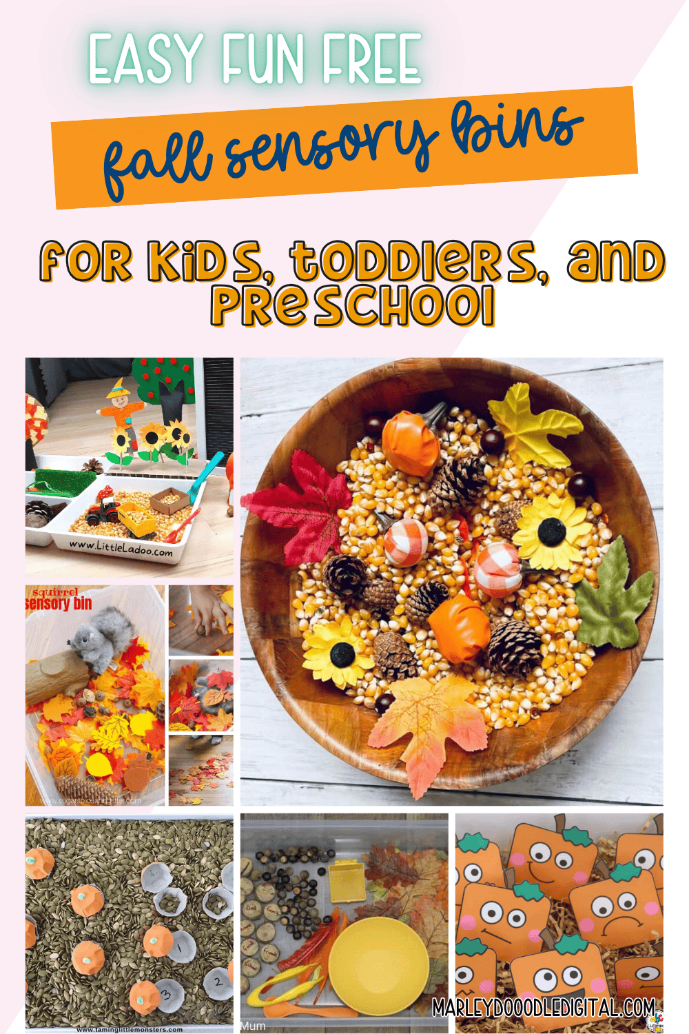 21+ Easy DIY Fall Sensory Bin Ideas (You Have Got to See!) - Marley ...