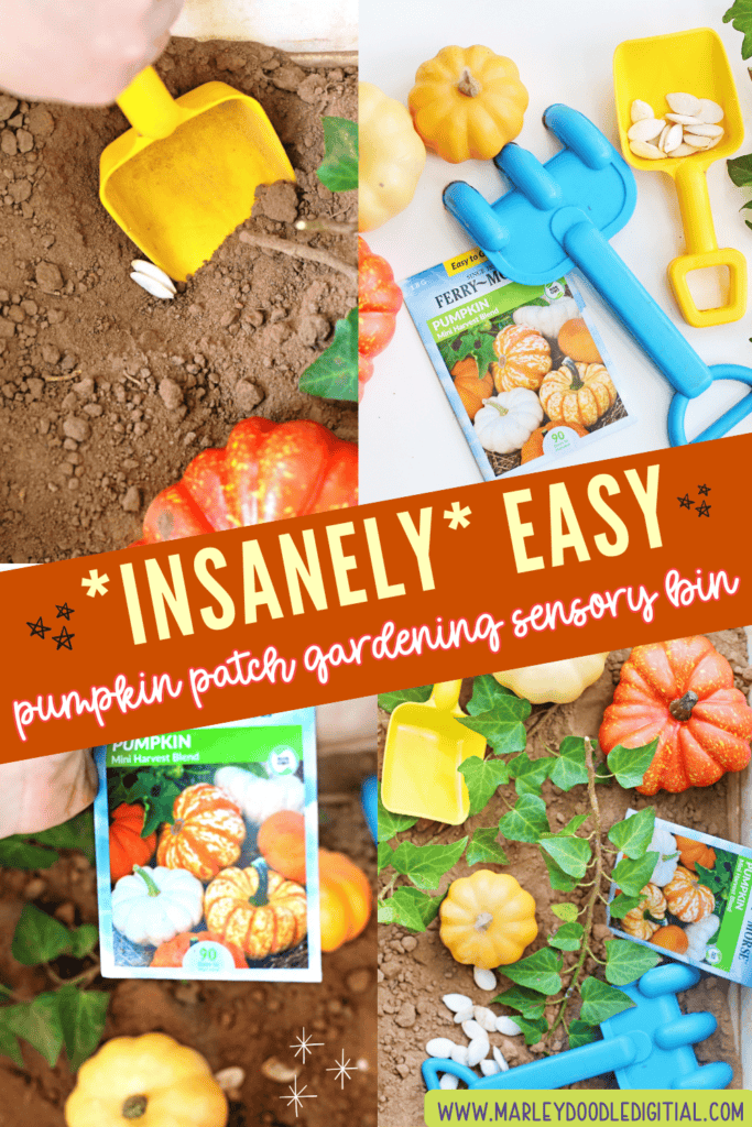 Pumpkin Patch Gardening Sensory Bin - Marley Doodle Digital