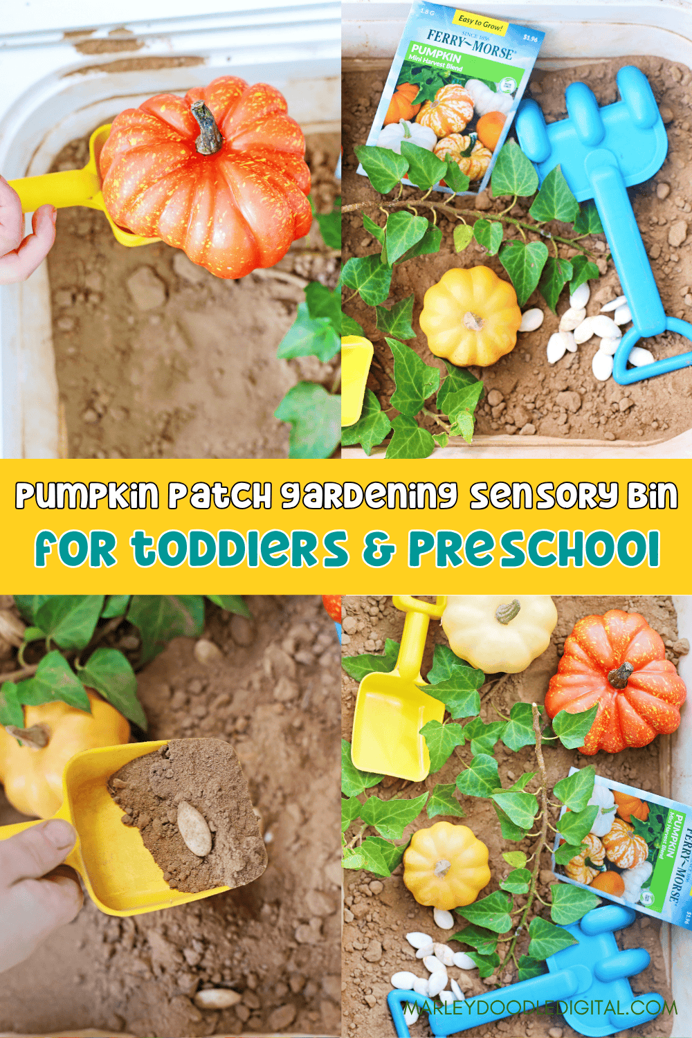 Pumpkin Patch Gardening Sensory Bin - Marley Doodle Digital