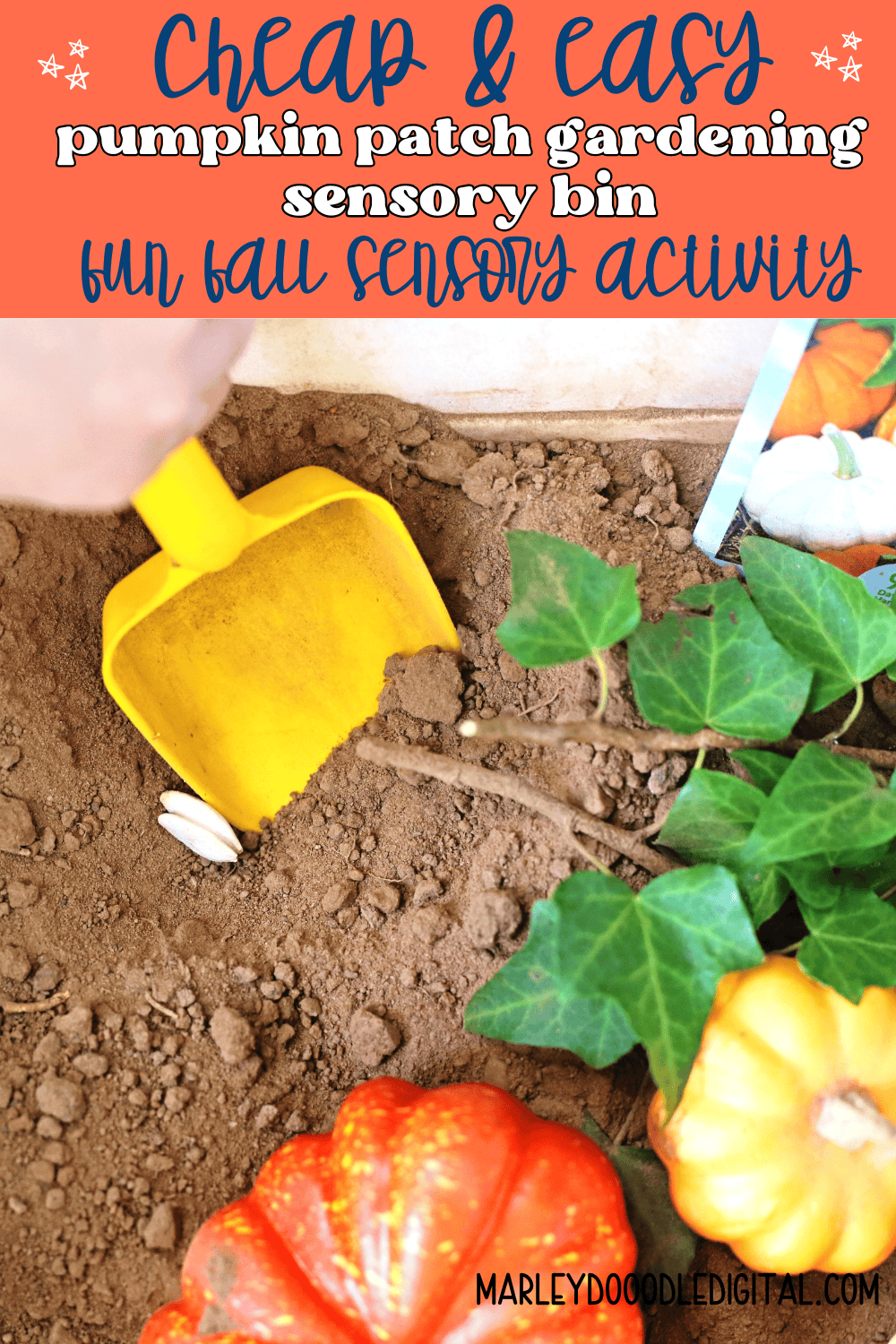 Pumpkin Patch Gardening Sensory Bin - Marley Doodle Digital