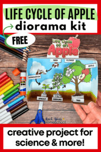 21+ Apple-Themed Crafts and Activities for Kids - Marley Doodle Digital