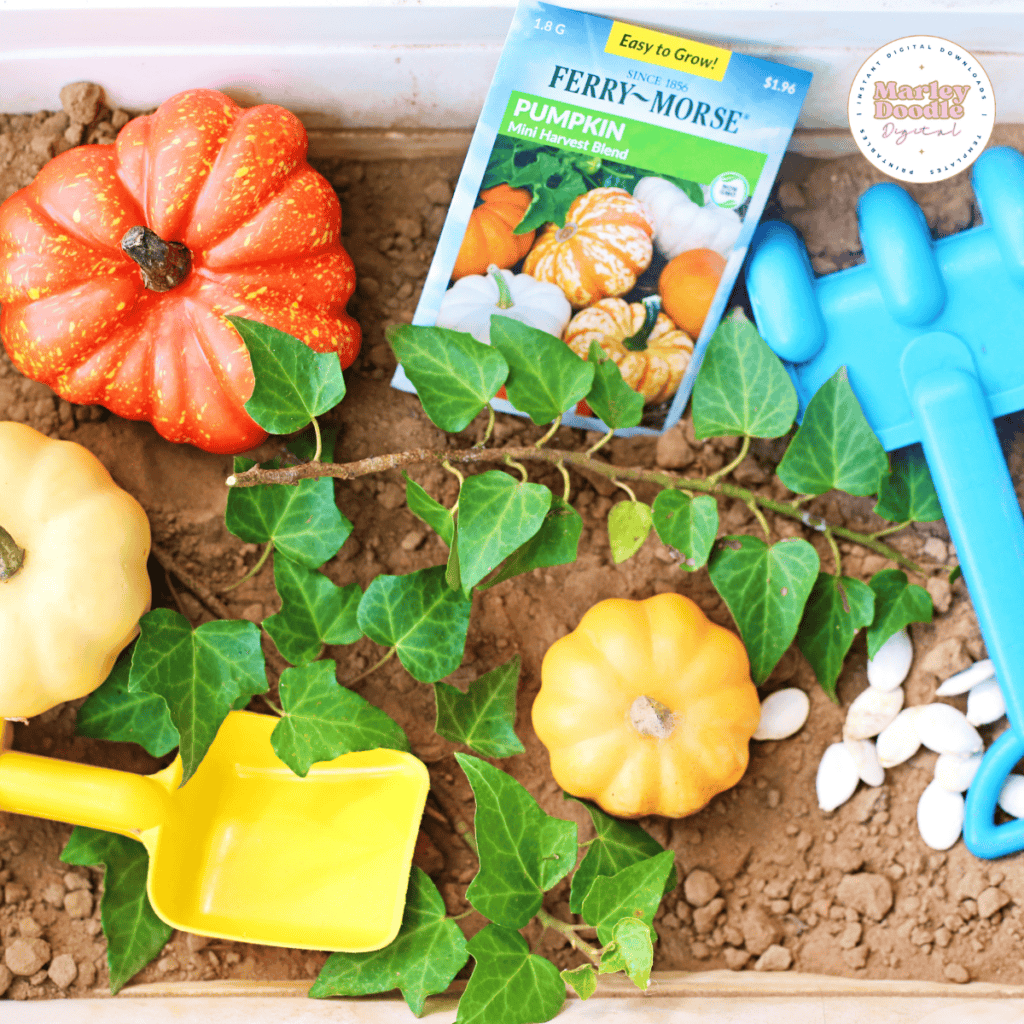 21+ Easy DIY Fall Sensory Bin Ideas (You Have Got to See!) - Marley ...