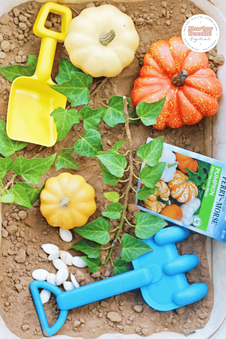 21+ Easy DIY Fall Sensory Bin Ideas (You Have Got to See!) - Marley ...