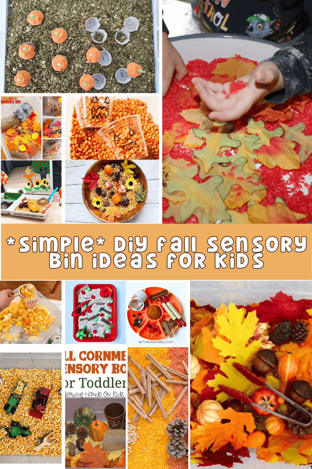 21+ Easy DIY Fall Sensory Bin Ideas (You Have Got to See!) - Marley ...