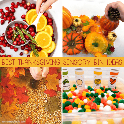 20+ Easy DIY Thanksgiving Sensory Bin Ideas (Great for Preschool ...