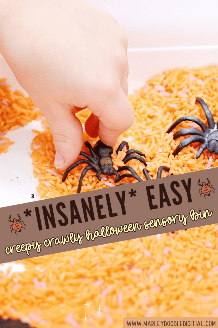 Creepy Crawly Halloween Sensory Bin - Marley Doodle Digital