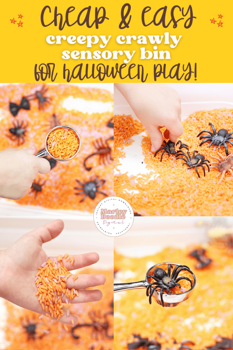 Creepy Crawly Halloween Sensory Bin - Marley Doodle Digital