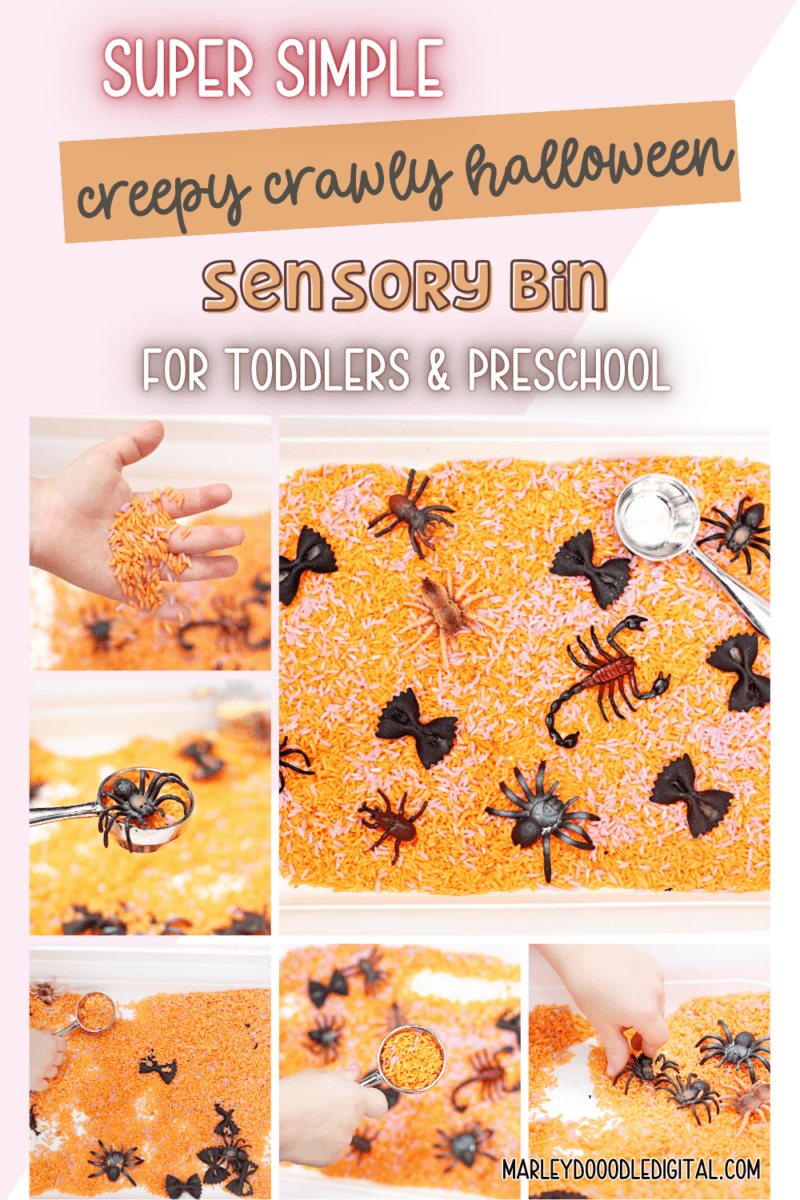 21+ DIY Halloween Sensory Play Ideas for Kids - Marley Doodle Digital