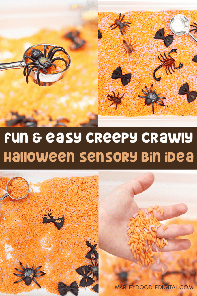 Creepy Crawly Halloween Sensory Bin - Marley Doodle Digital