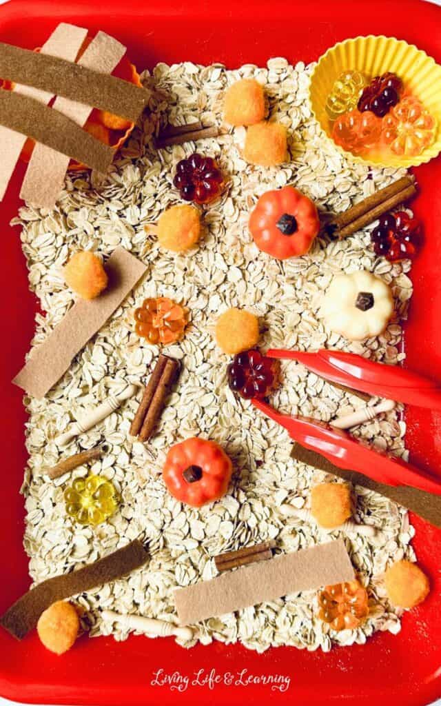 20+ Easy DIY Thanksgiving Sensory Bin Ideas (Great for Preschool ...