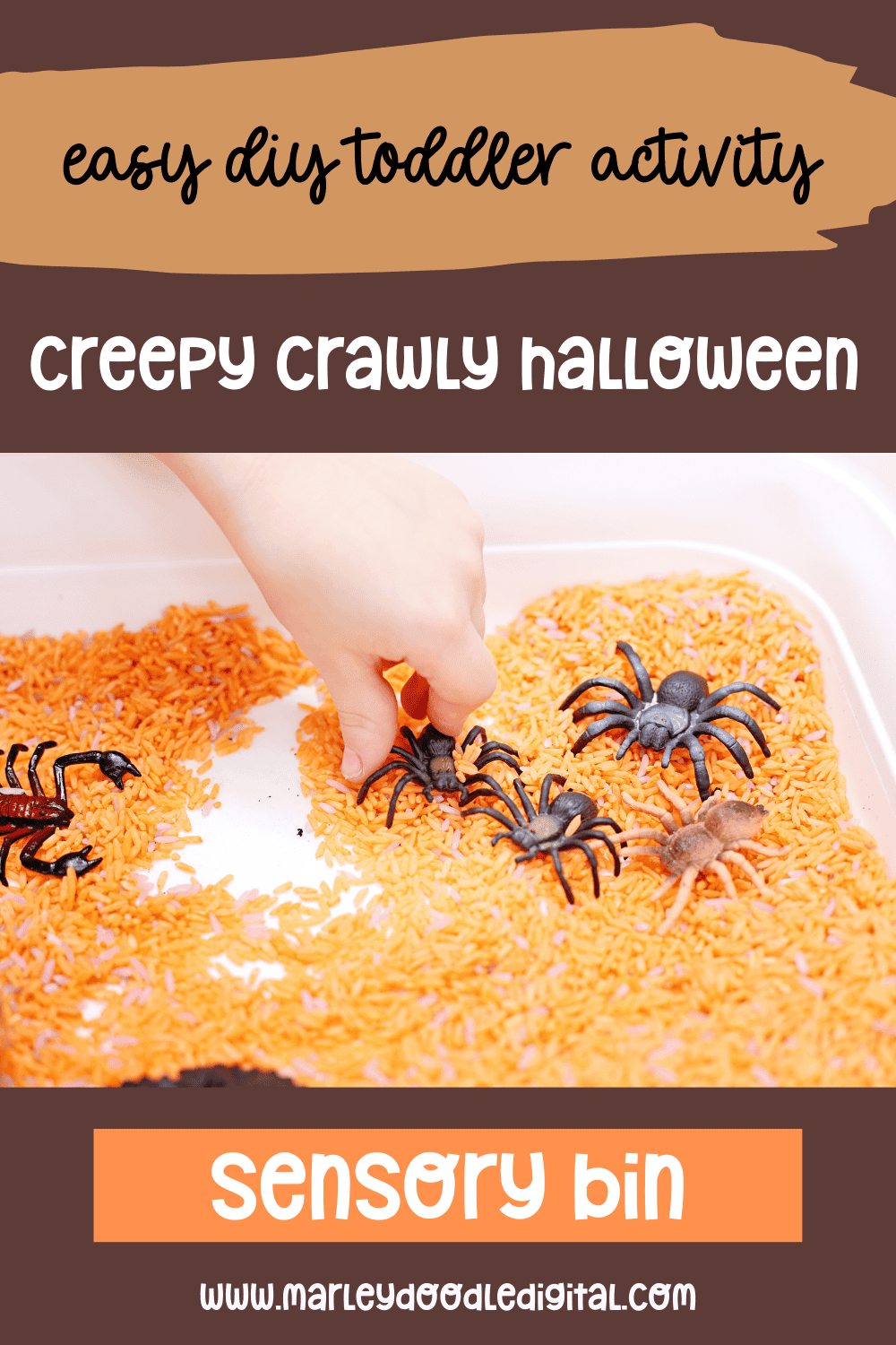 Creepy Crawly Halloween Sensory Bin - Marley Doodle Digital